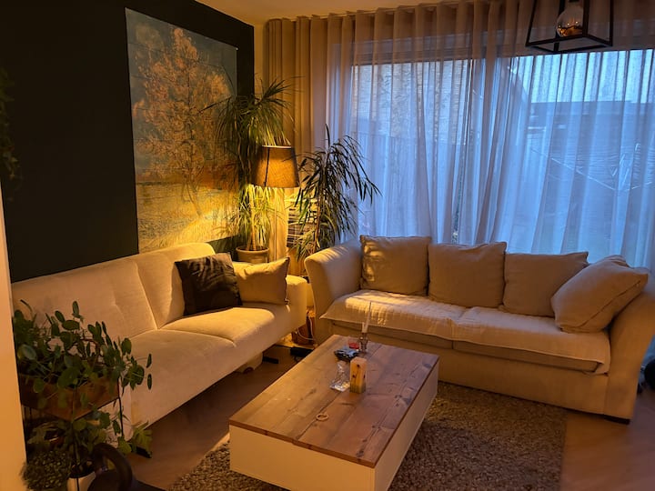 Fijne Grote Woning Nabij Het Centrum Van Nijmegen. - Nijmegen