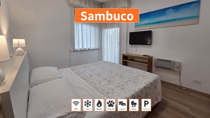 Essenza - Sambuco - By Turent - Finale Ligure
