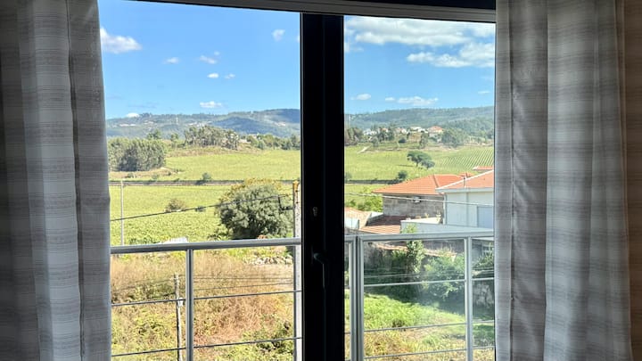 Studio Vista Para Vinha - Alvarinho - Vizela
