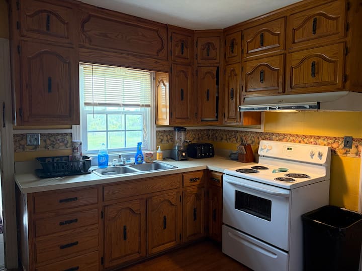 Home In Manchester - Bonnaroo Music And Art Festival