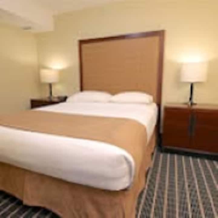 Room And Living Room. - Medicine Hat