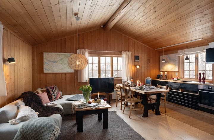 Cozy Traditional Cabin In Vestlia/geilo - Norway