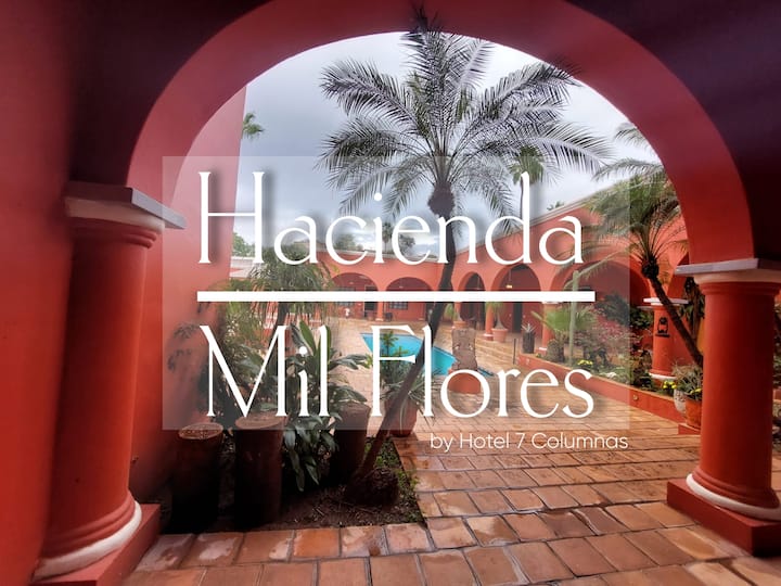 Hacienda Colonial Completa O Por Habitaciones - Álamos