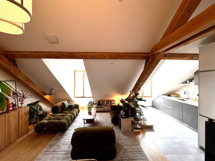 Cosy Apartment By The Jet D’eau - Geneva