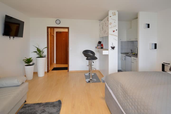 Relax Apartement In Guter Lage - Ingolstadt