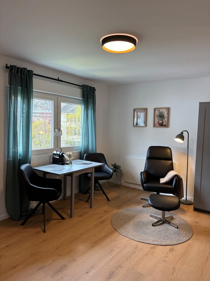Goethe Studio By Noahkis Apartments: Sehr Zentral - Bad Ems