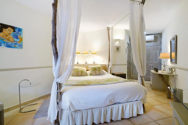 Agapanthe - Tourrettes-sur-Loup