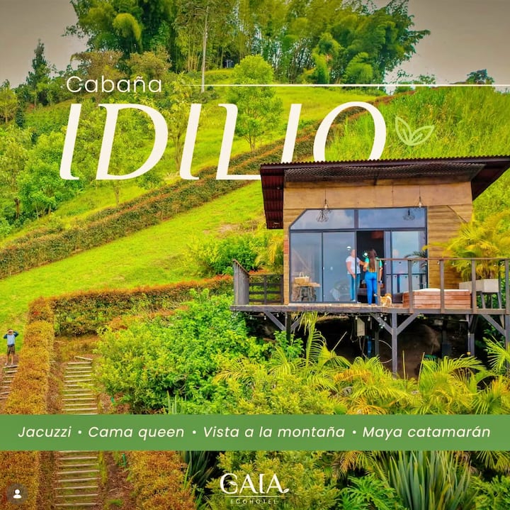 Glamping Idilio | Gaia - Chinchiná