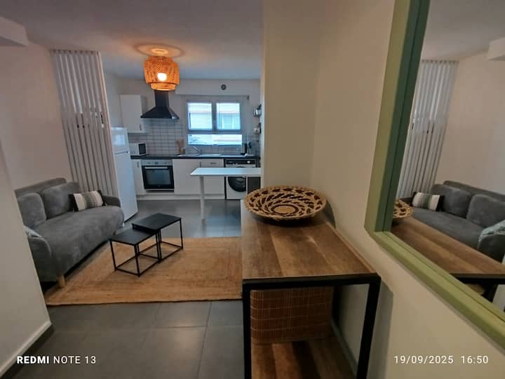 Appartement Et Sa Terrasse En Plein Centre Ville - 洛里昂