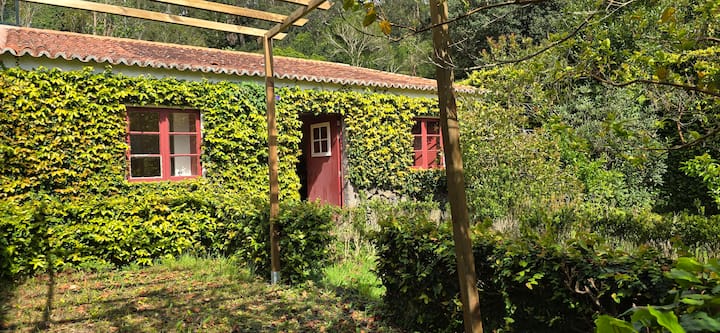 Cottage Garden - Angra do Heroísmo