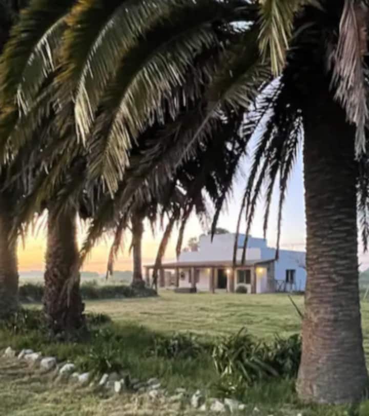 Casas De Campo, Náutica, Pesca S/rio Puerto Ceibo - Provincia de Buenos Aires