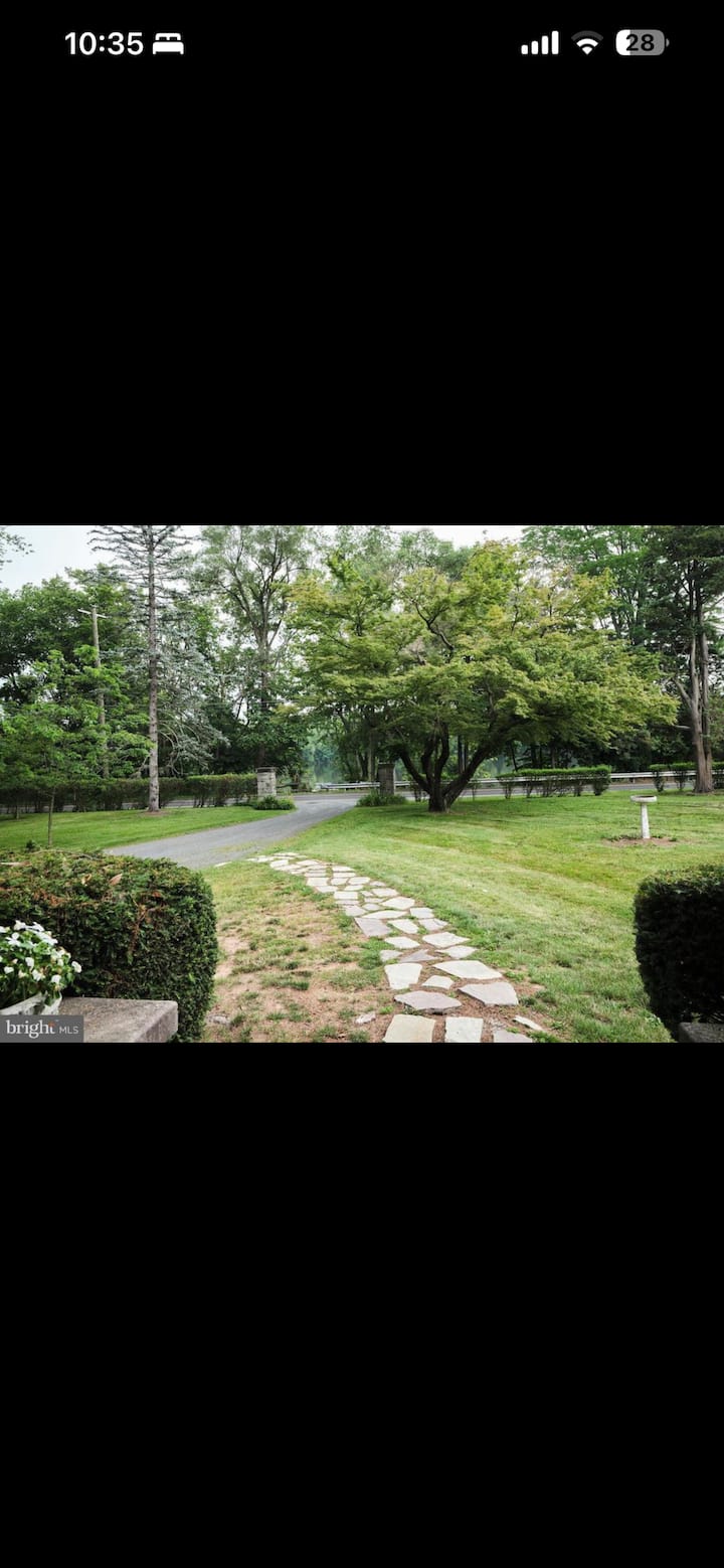 Cozy Nest Studio - Trenton, NJ