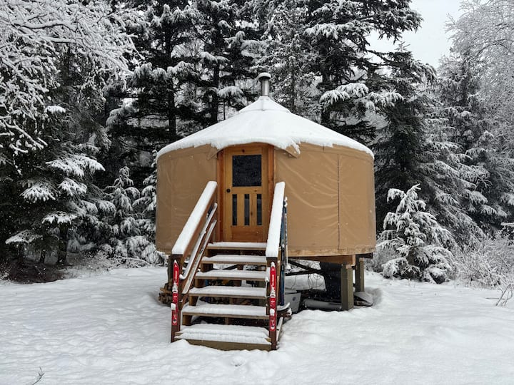 Yurt Stay On Working Farm/homestead In Hope. - Hope, AK