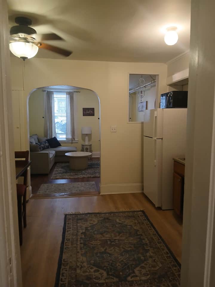 Beautiful Center Square Garden Apt W/ Back Patio. - Albany, NY