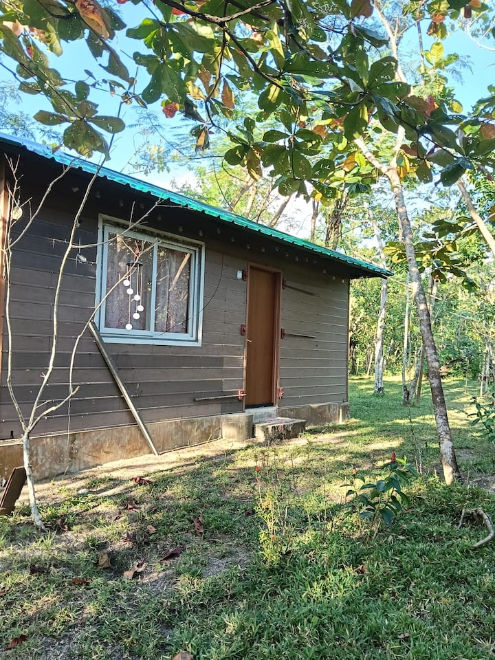 Semi-forest Near The Beach - Bungalow & Camping - Catanduanes