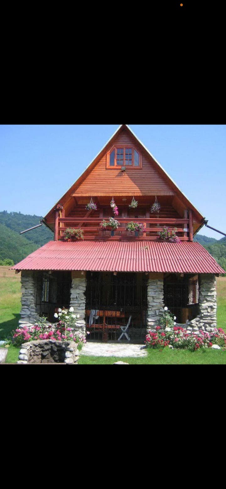 Cabana Rustica-lacul Leșu-coada Lacului - Budureasa