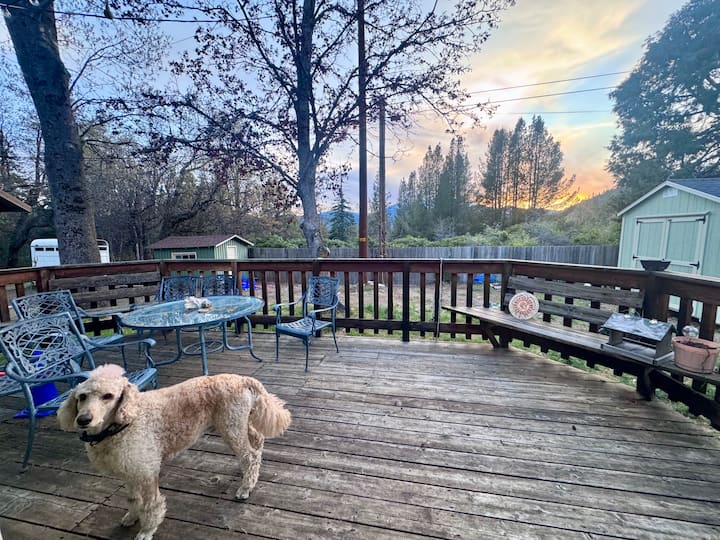 The Shasta ‘Resort’: Your Cozy Mt. Shasta Basecamp - Mount Shasta, CA