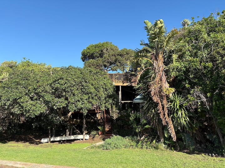 Whispering Bush Treehouse Overlooking The Estuary. - Seafield
