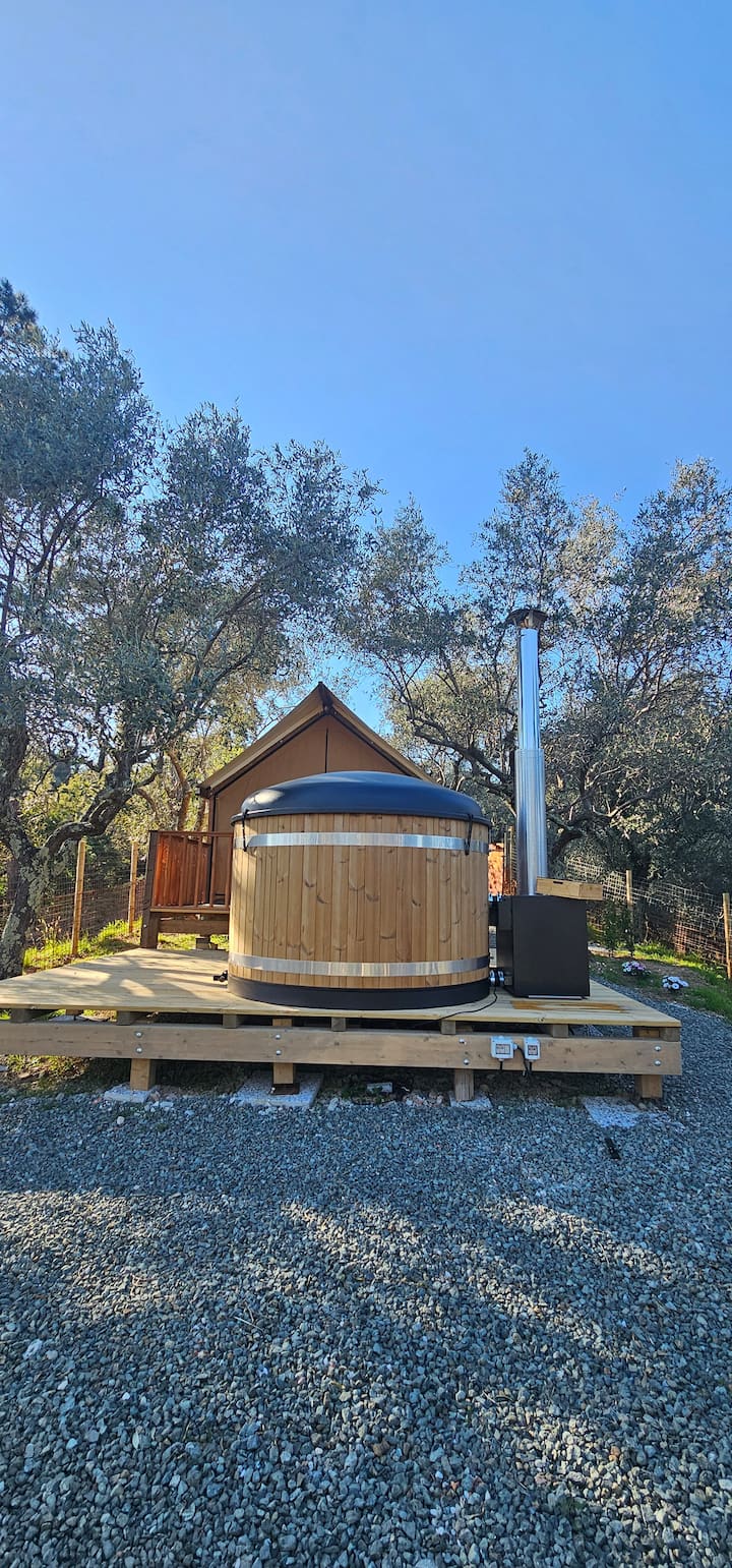 La Novena: Casa Vinicio Spa Tra Gli Uliveti - Liguria