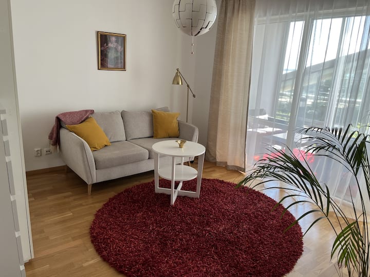 2-rums Lägenhet Med Sjöutsikt I Västerås - Västerås