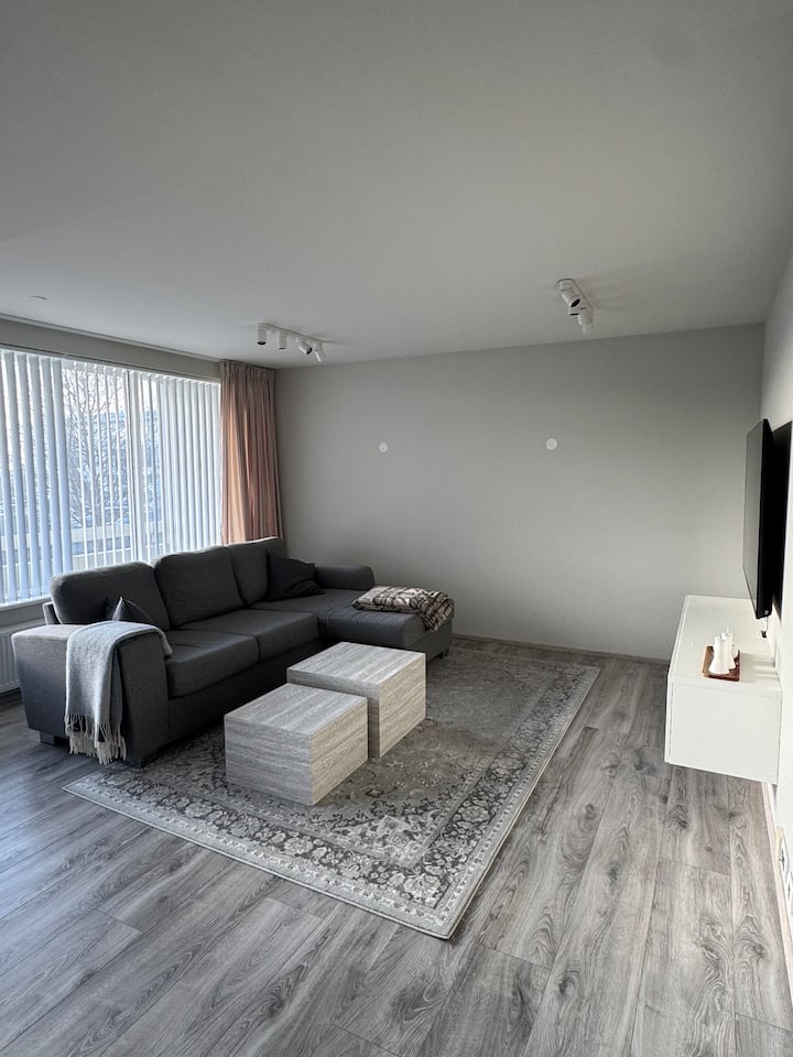 Bright Flat, Centrally Located In Reykjavík - Reykjavik