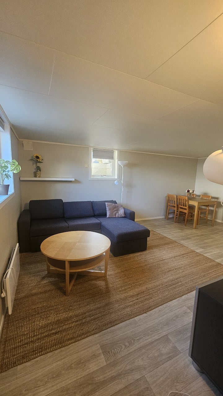Large Stavanger Center Apartment Near Kilden Mall - Stavanger