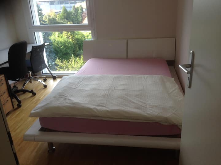 Room In My Apartment In Bouchet - Genève