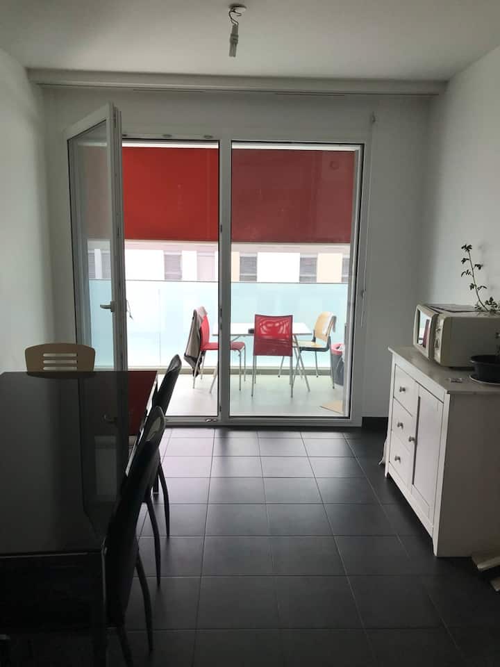 Room In New Apartment In Lancy - Genève
