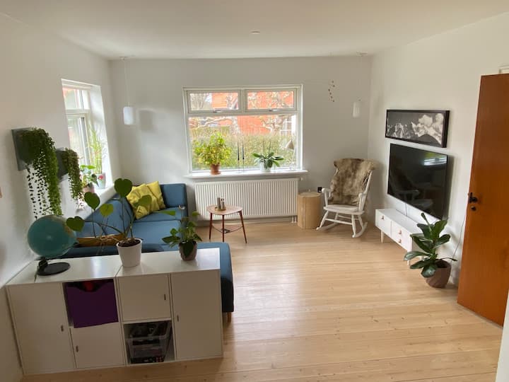 Familie Hus Med Have, Trampolin Og Pool - Odense