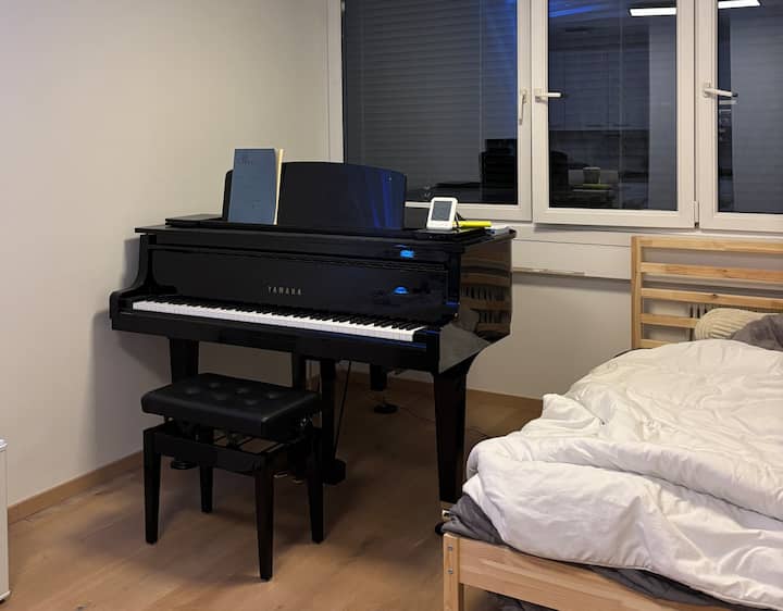 Grand Piano(silent Sys) Apartment - Salzburg