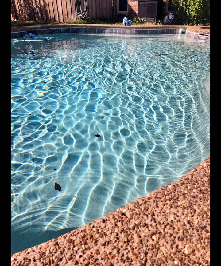 The Luxury Longhorn - Aéroport de Dallas-Fort Worth (DFW)