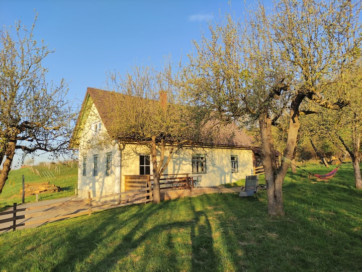 Villa Ella 
Urlaub Beim Winzer - Loipersdorf bei Fürstenfeld