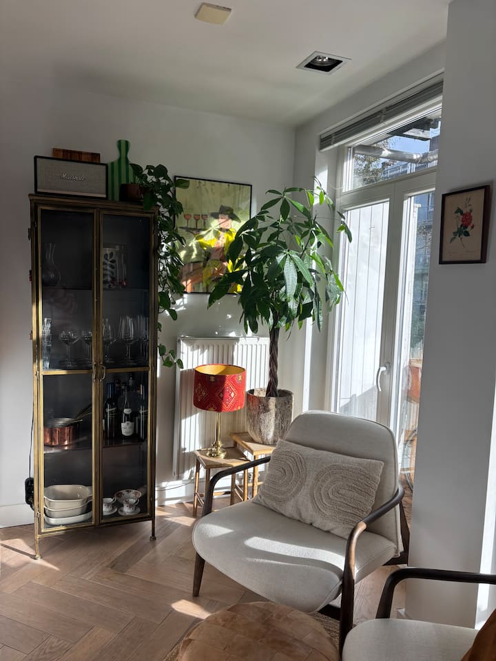 Charming Appartment In Amsterdam South - Amsterdam