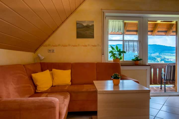 Talblick - Oberharmersbach