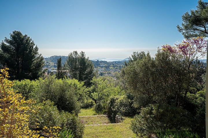 Villa Vue Mer, Terrain 5500m² & Proche Des Plages - Sanary-sur-Mer