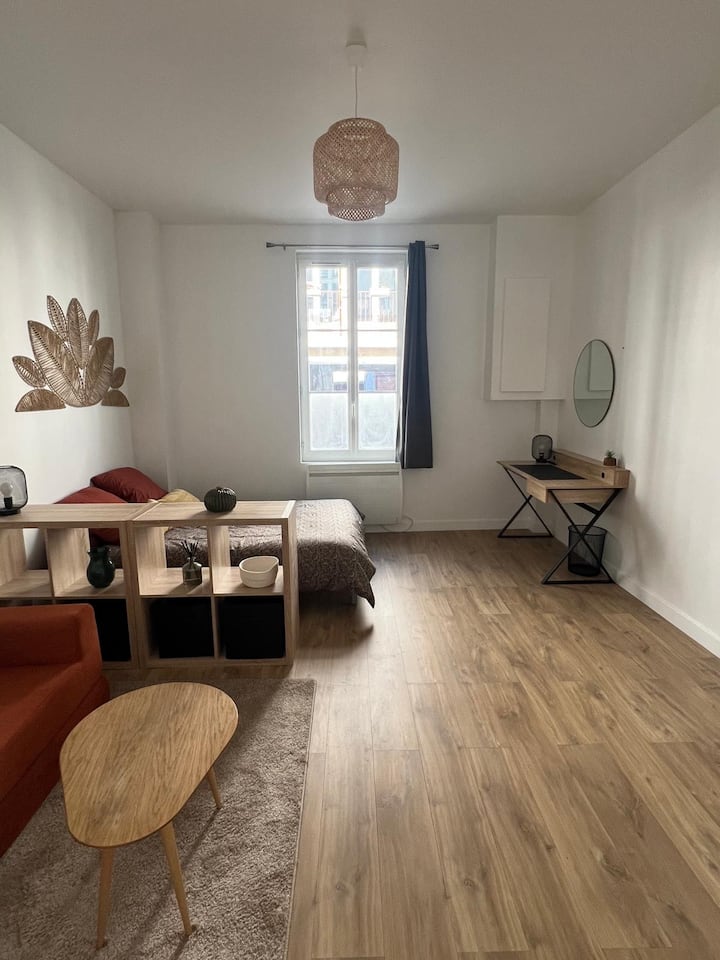 Appartement Lumineux En Hyper Centre De Laval - Laval, France