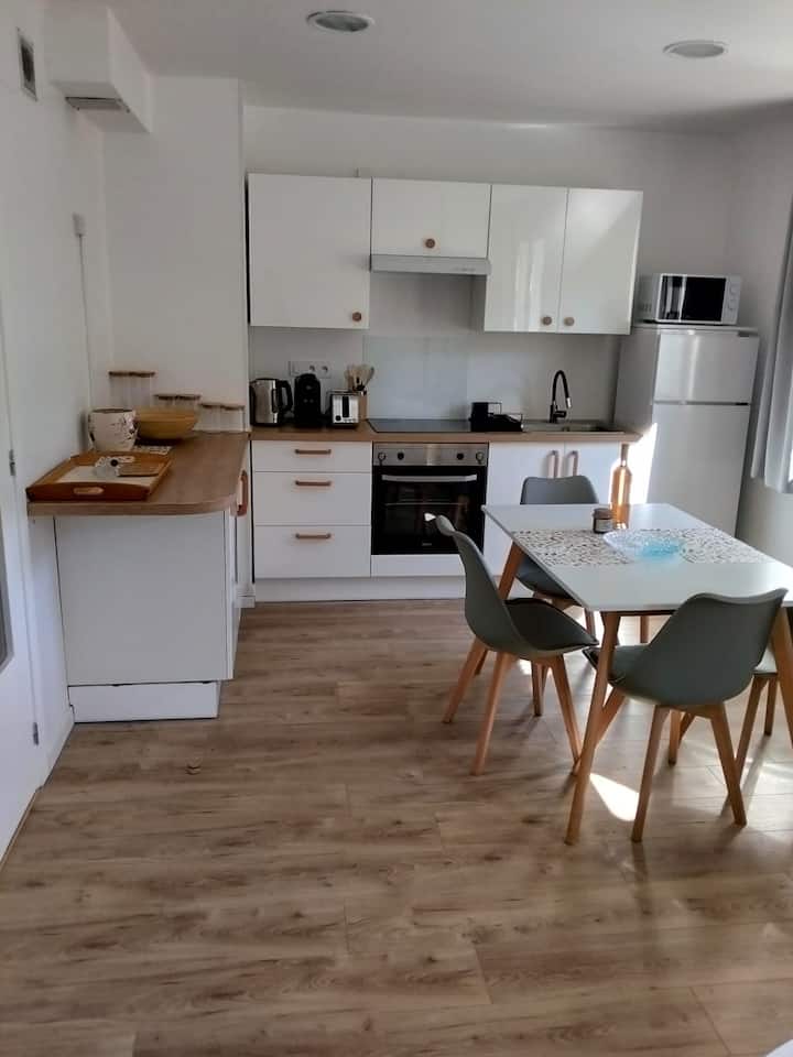 Charmant 2 Pièces Rénové Au Cœur De Céret - Céret