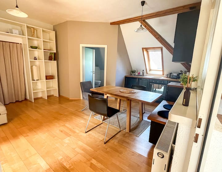 Apartment Above The Roofs Of Biberach - Biberach an der Riß