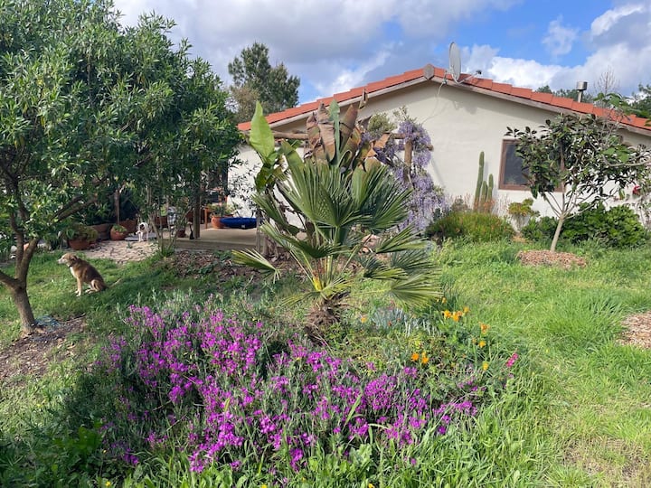 Casa Taipavaria - Hideaway In Alfambras - Aljezur
