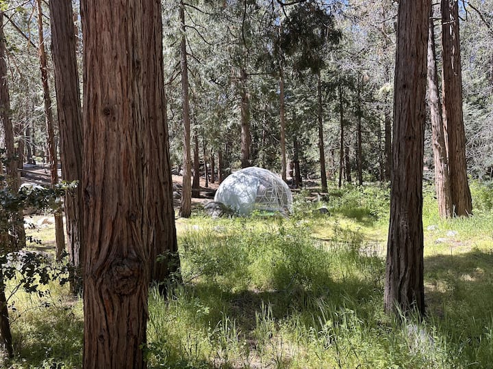 Idyllwild Secluded Dome Home - Yet Walk To Town - Idyllwild-Pine Cove, CA