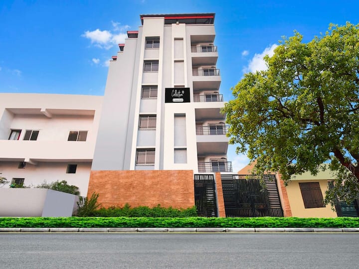 Collection O City Center Hotel South Inn - Raipur