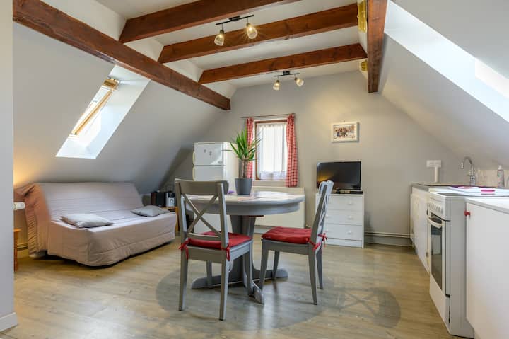 Gîte Sylvaner Sur La Route Des Vins - Kintzheim