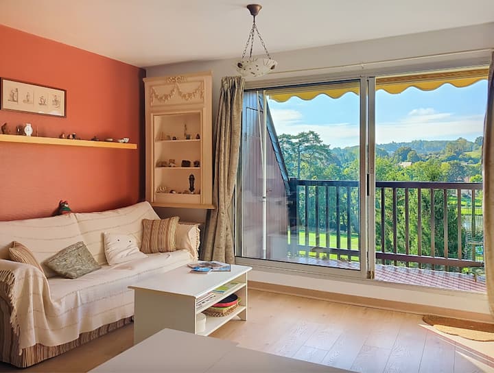 Appartement Avec Balcon Vue Golf Plein Sud - Houlgate