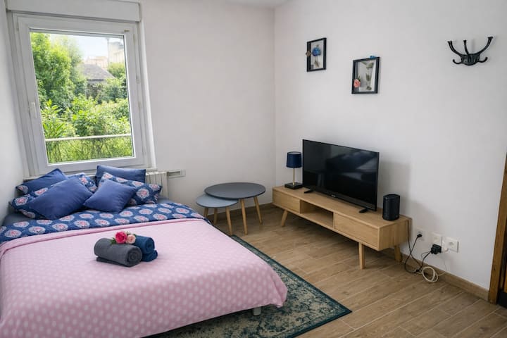 Studio Fonctionnel Dans Un Quartier Agréable - Tours