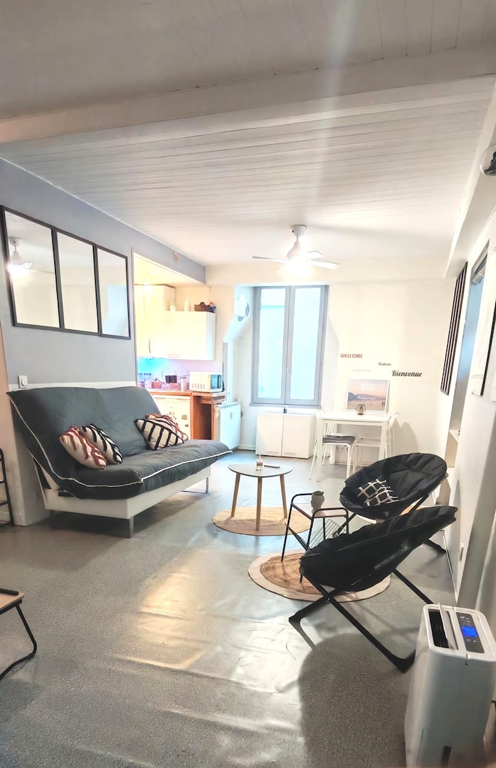 Appartement Atypique Proche Gare Et Centre-ville. - Le Bourget-du-Lac