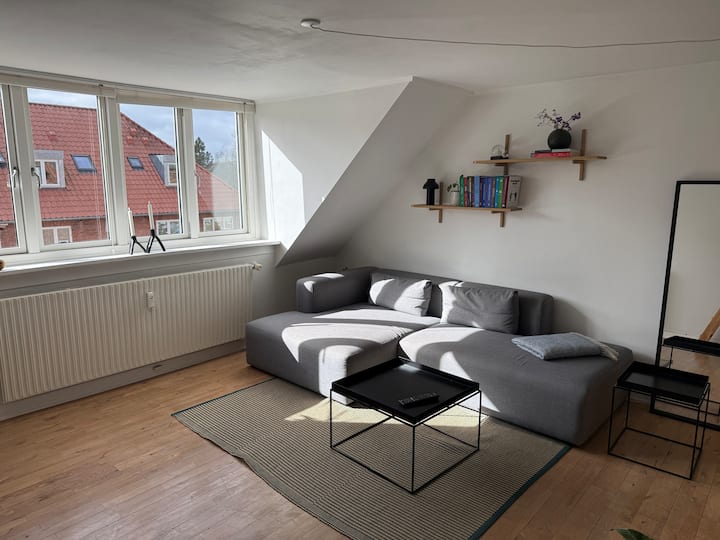 Hyggelig Lejlighed I Aarhus C - Aarhus
