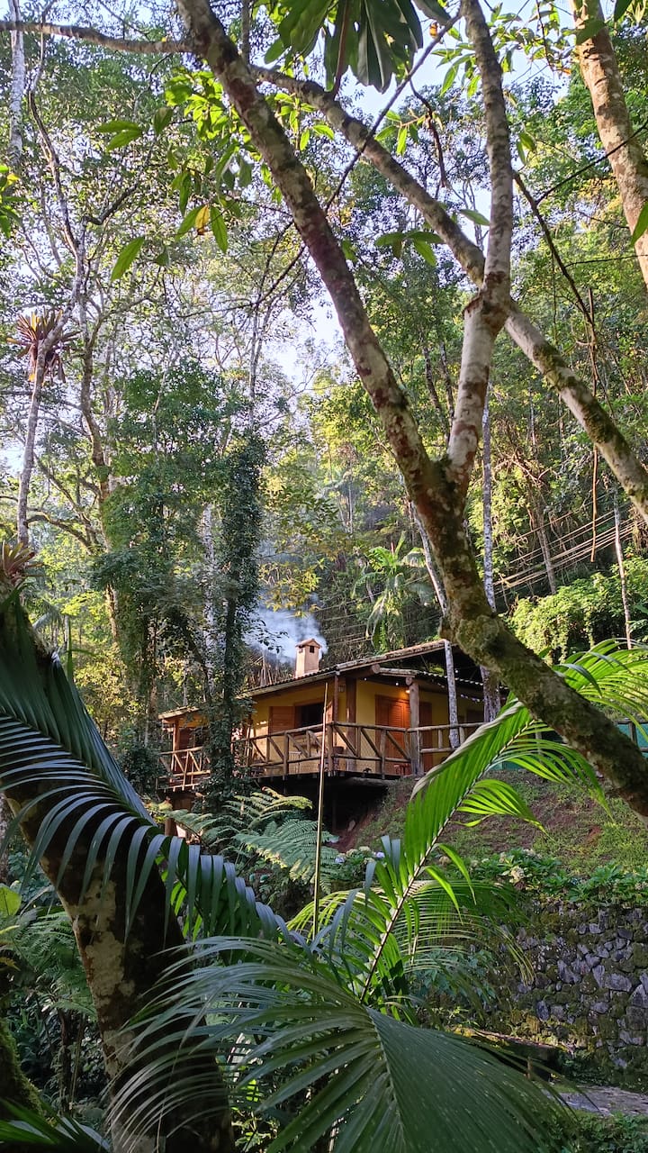 Nas ÁRvores - Petrópolis