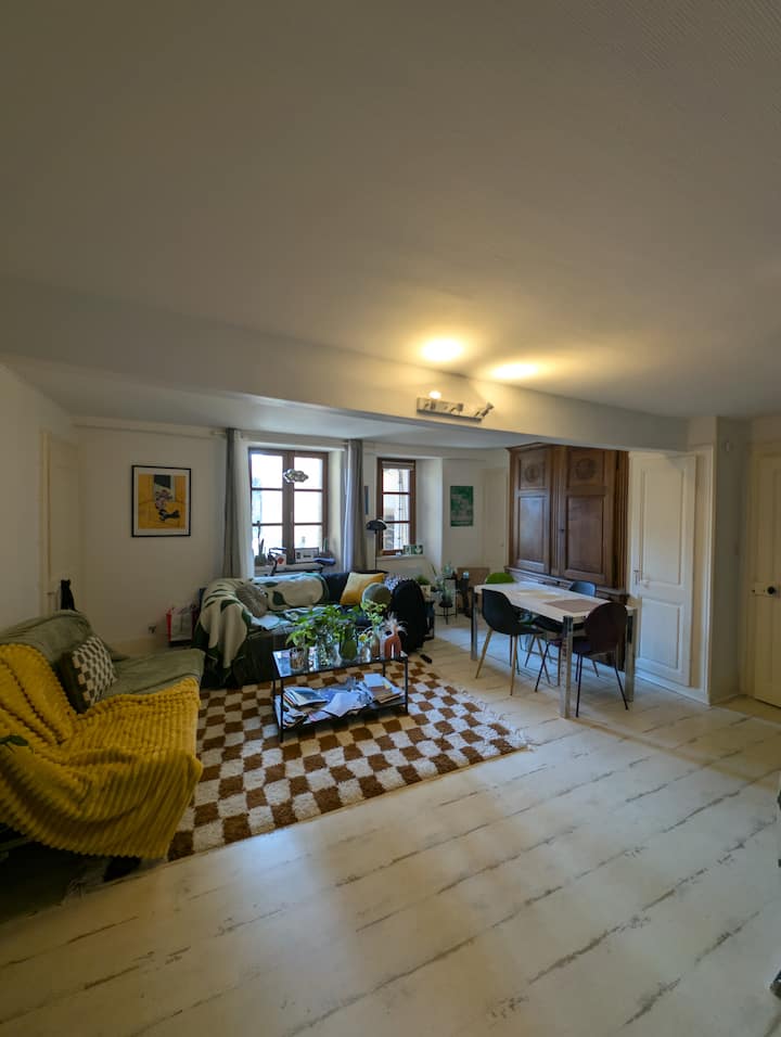 Authentique Et Central : Séjour Dans Une Traboule - Chambéry