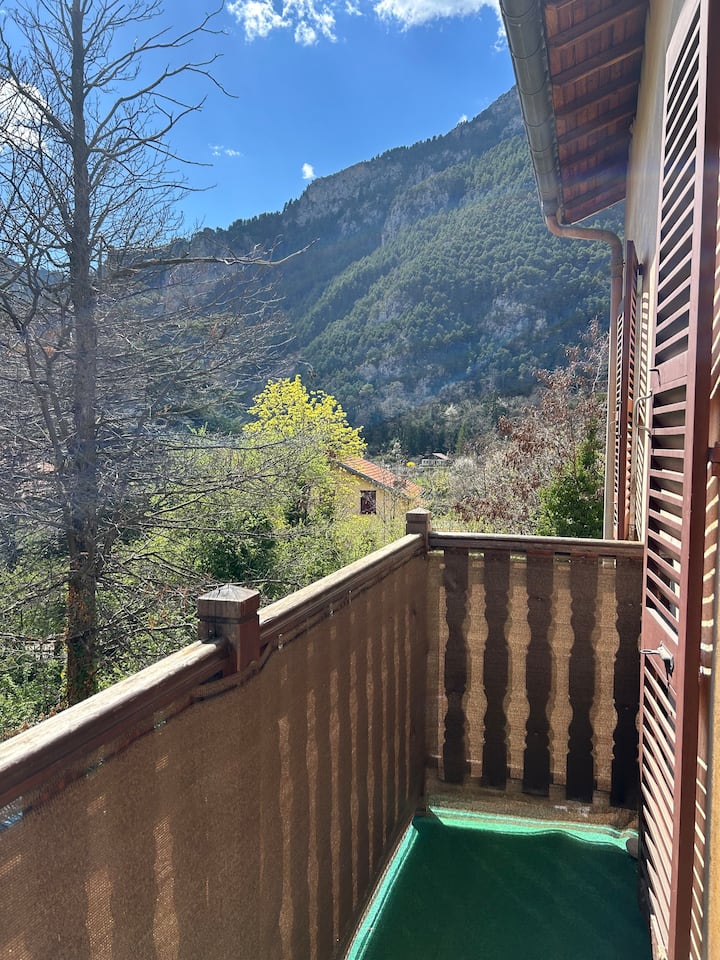 Joli Studio à L’entrée Du Village - Lac du Boréon