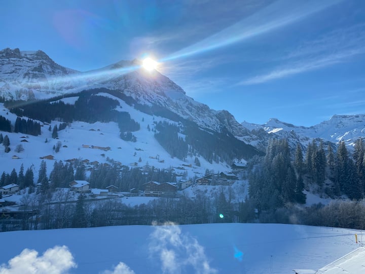 Charmante 2-teilige Wohnung Mit Aussicht - Frutigen